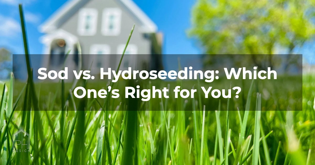 Sod vs. Hydroseeding: Which One's Right for You? | Passion Home Design